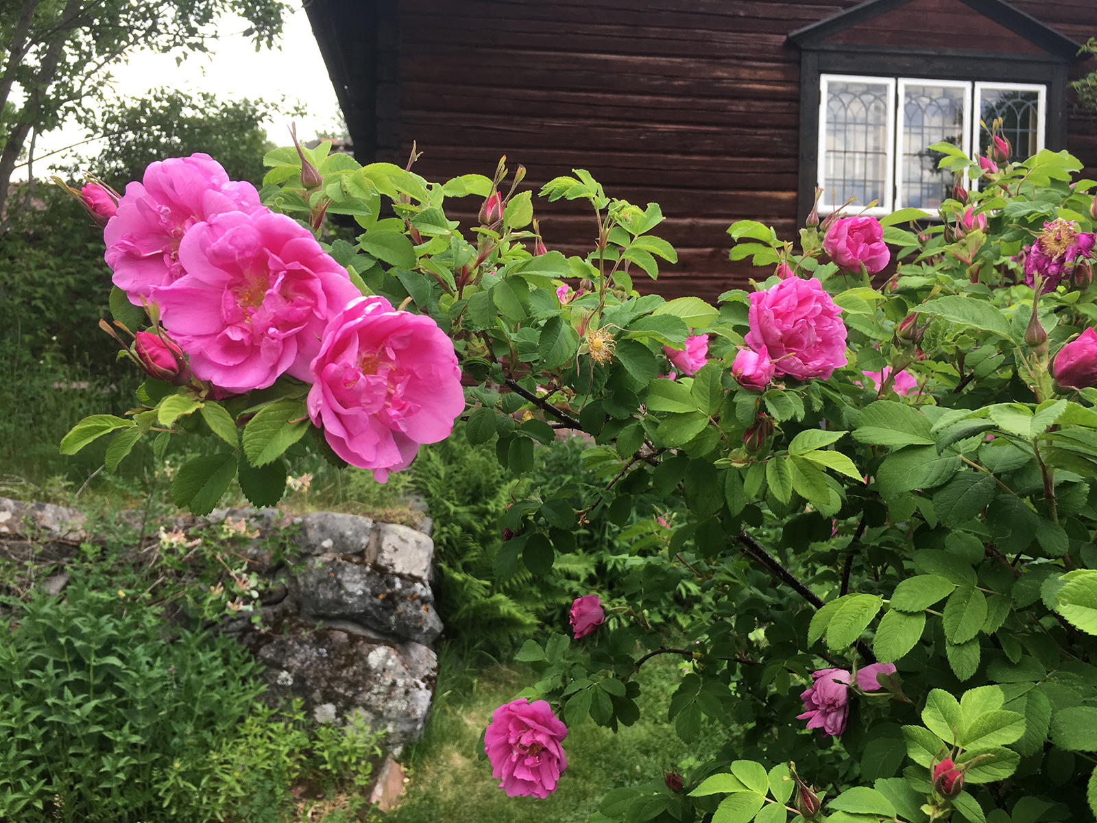 Karlfeldt gårdarna - Karlfeldtsamfundet